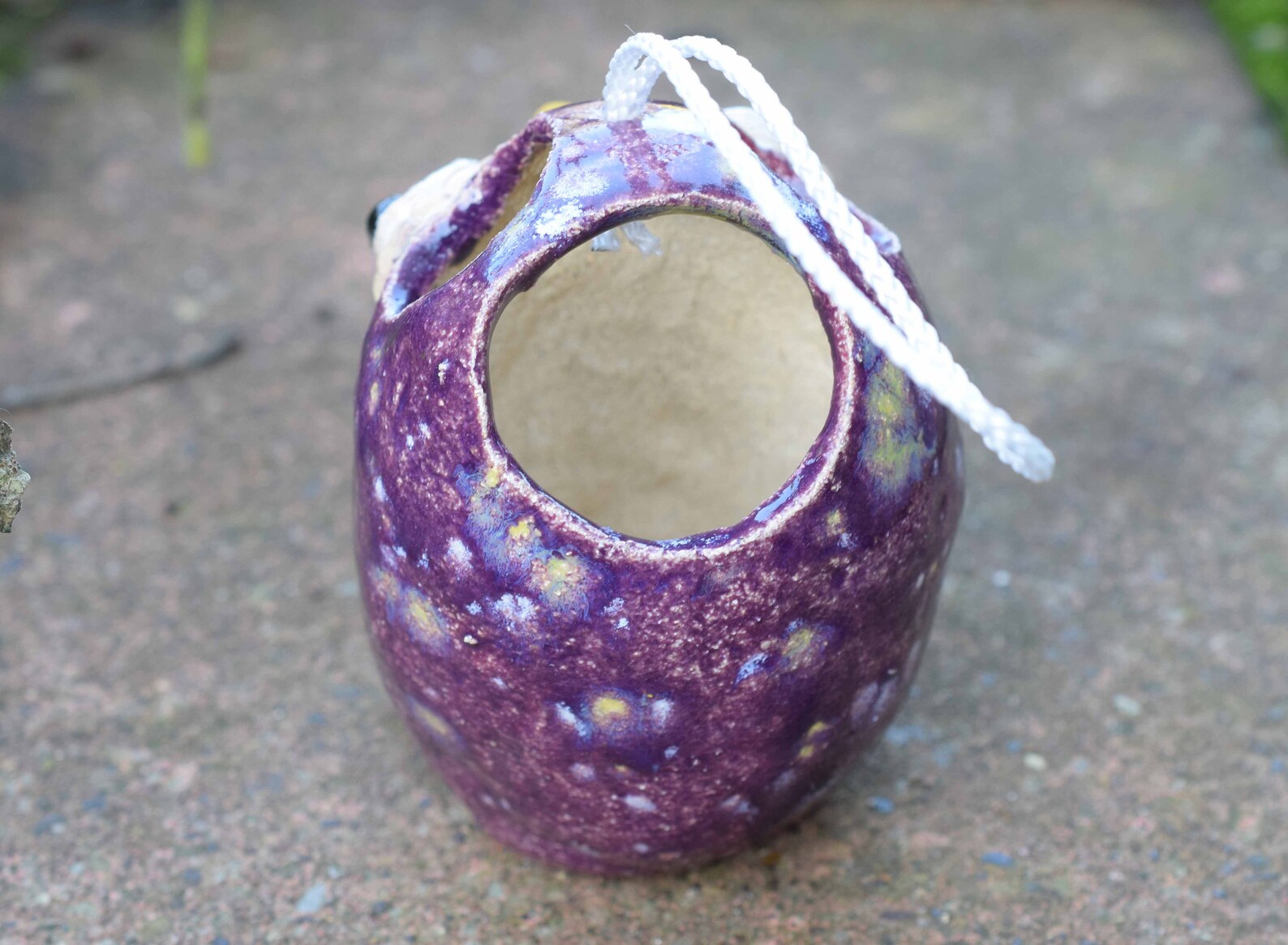 Small Owl Bird Feeder for Sunflower Seeds/ Suet Sticks/ - Etsy