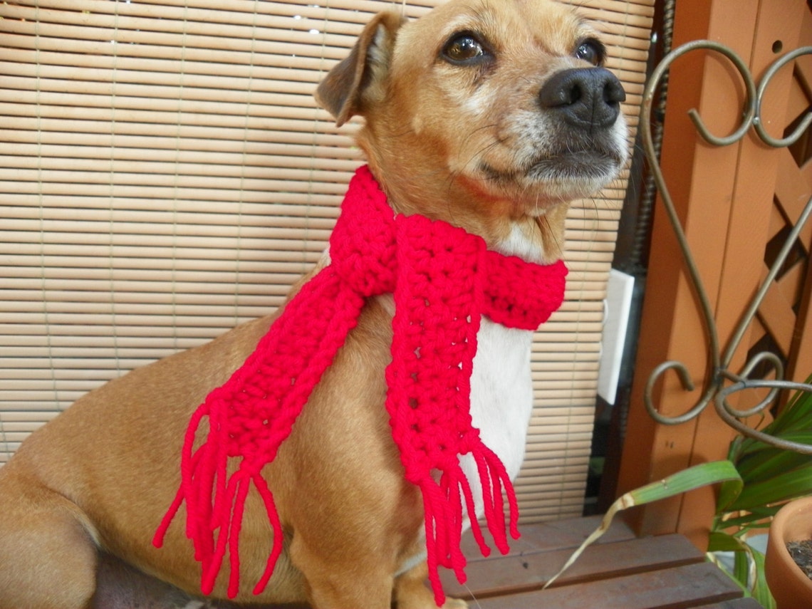 Dog Scarf Neck Warmer Sizes Xxsmall-5xlarge Hand Made - Etsy