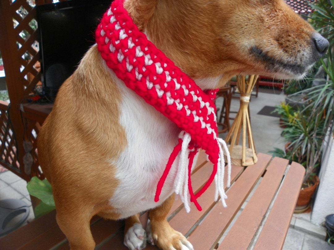 Red and White Dog Scarf Christmas Dog Scarf Sizes Xxsmall-5xlarge - Etsy