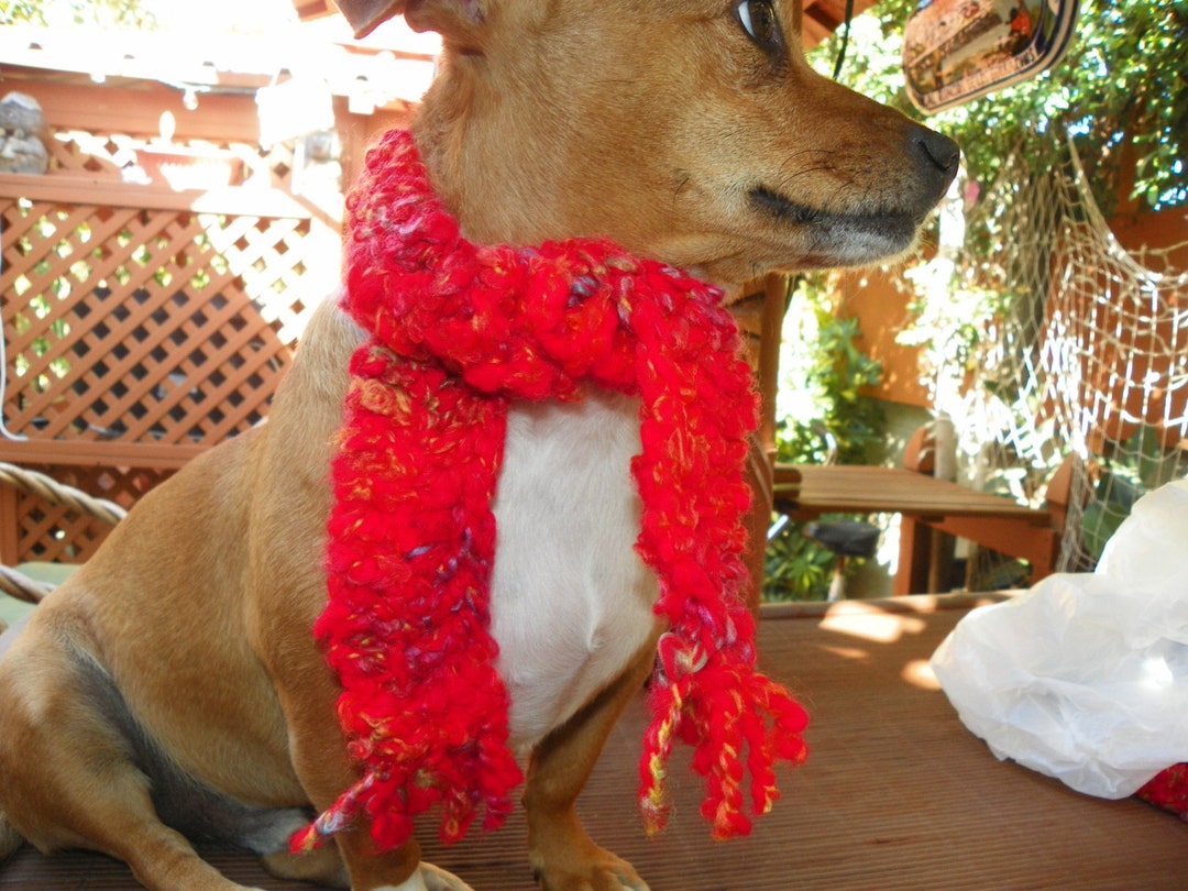 Red Dog or Cat Scarf Sizes Petite-4xlarge Choose From Purple Red Yelow ...