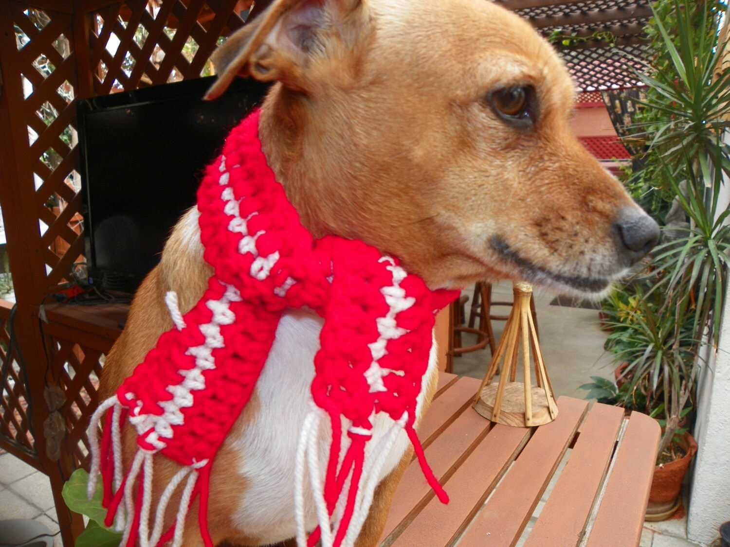 Christmas Dog Scarf Red With White Holiday Sprit Sizes - Etsy