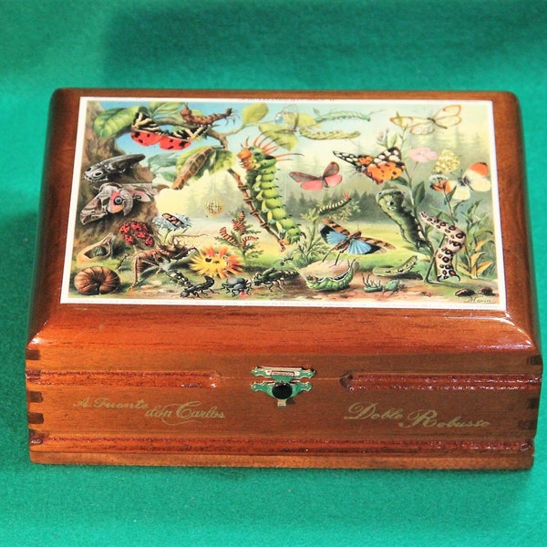 Decorated Cigar Box - Etsy
