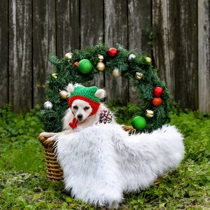 Dog Elf Hat, Dog Hat, Cat Hat, Dog Christmas Hat, Dog Crochet Hat - Etsy