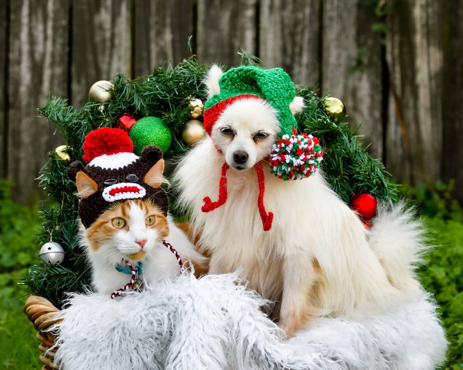 Dog Elf Hat Dog Hat Cat Hat Dog Christmas Hat Dog Crochet - Etsy