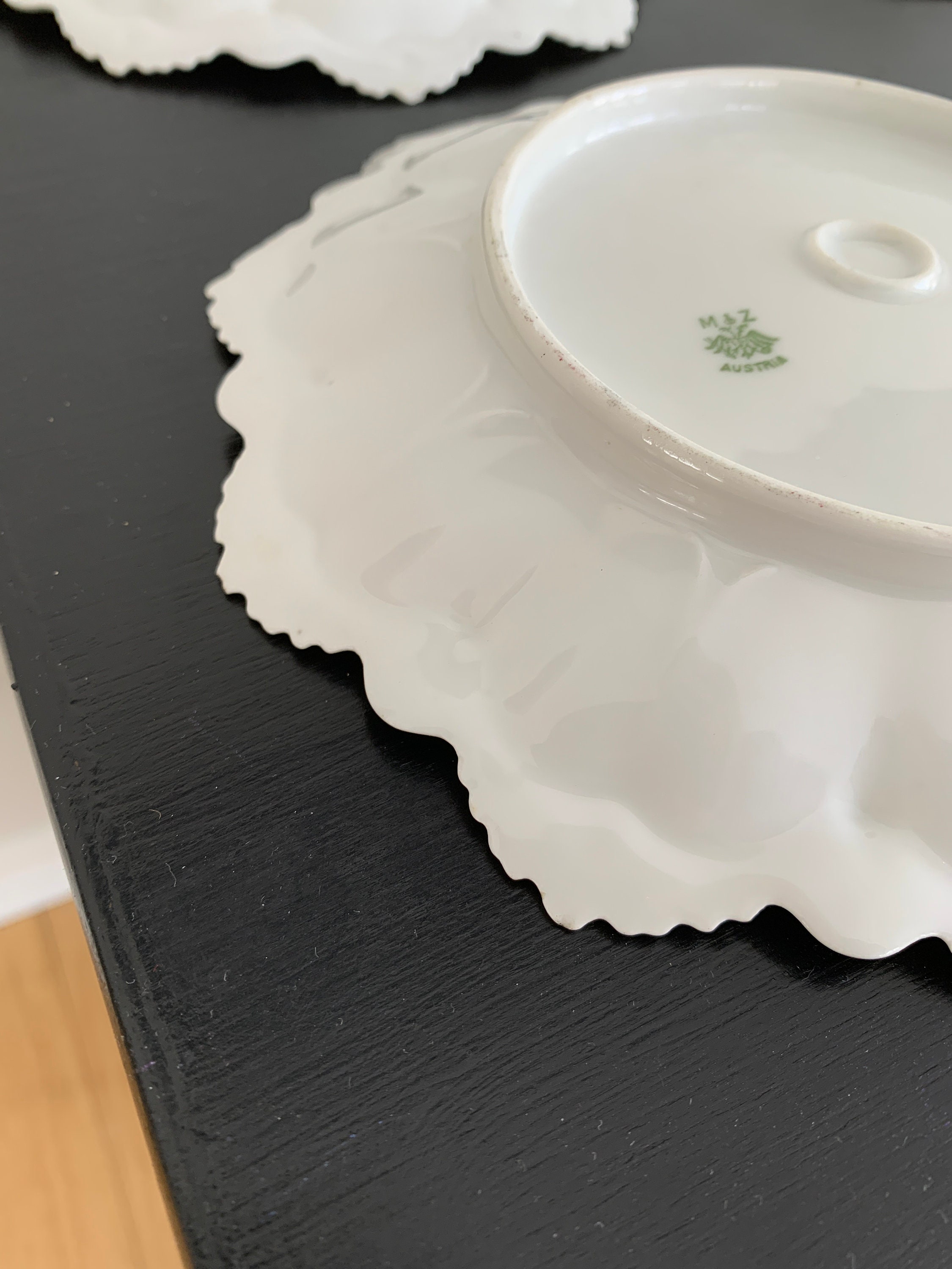 Antique MZ Austria Plate Set - Etsy