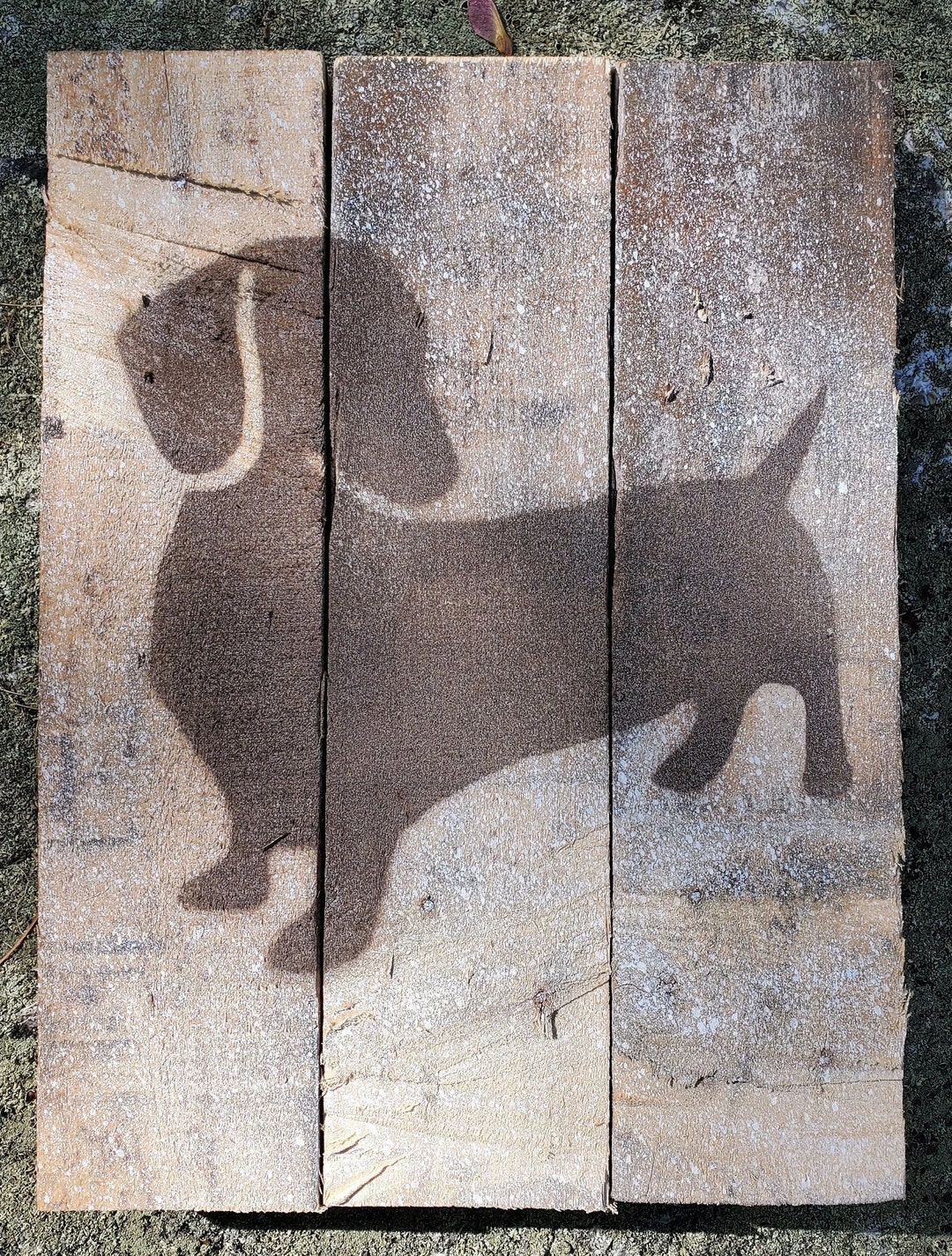 Dachshund on Reclaimed Wood Panel - Etsy
