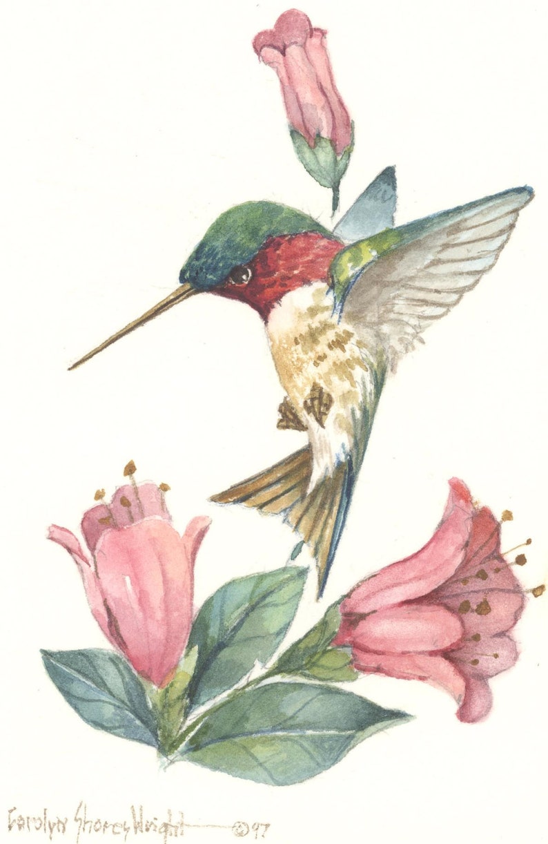 Humming Along II 7 X 5 Lithograph - Etsy