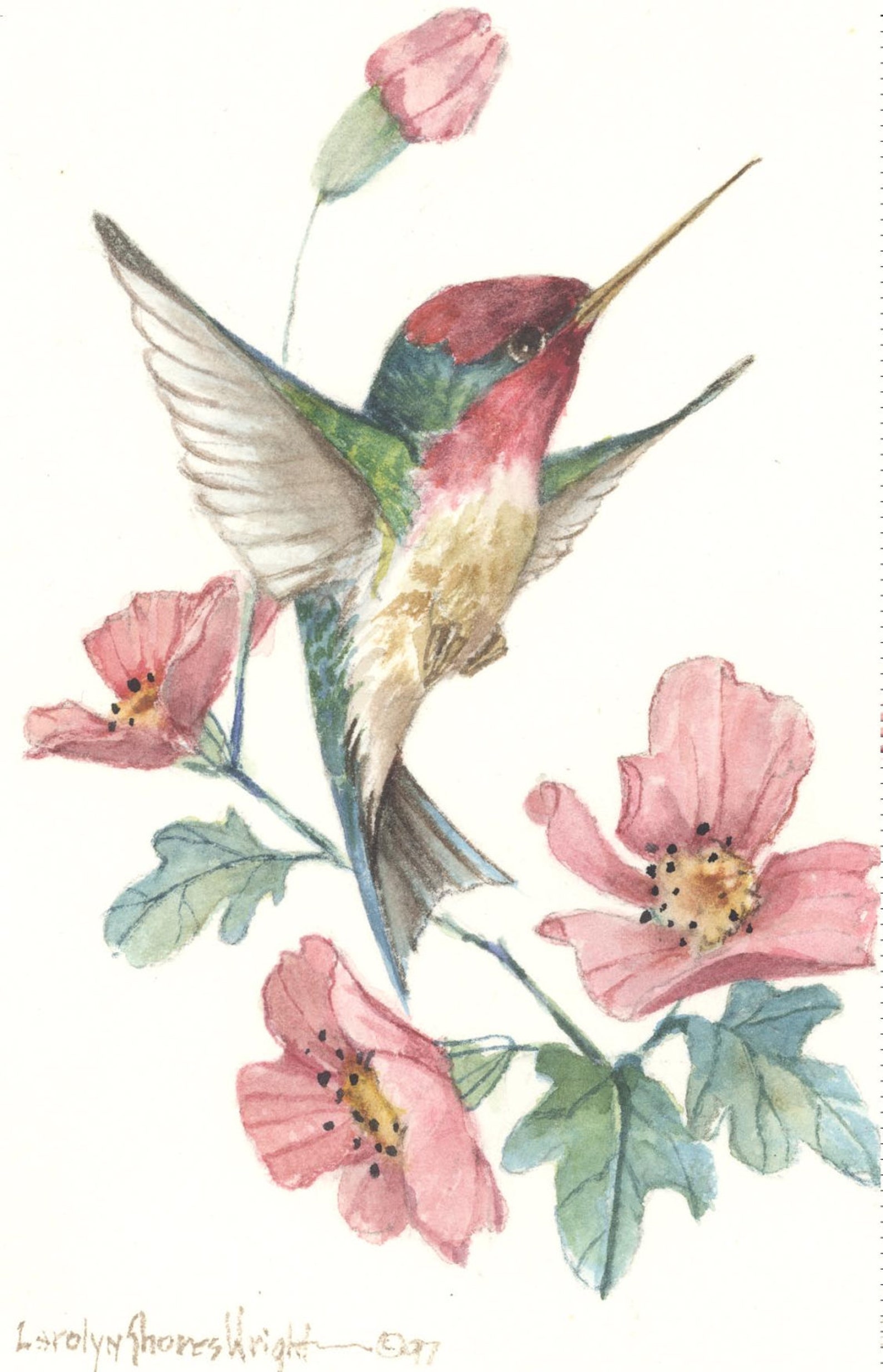 Humming Along I 7 X 5 Lithograph - Etsy