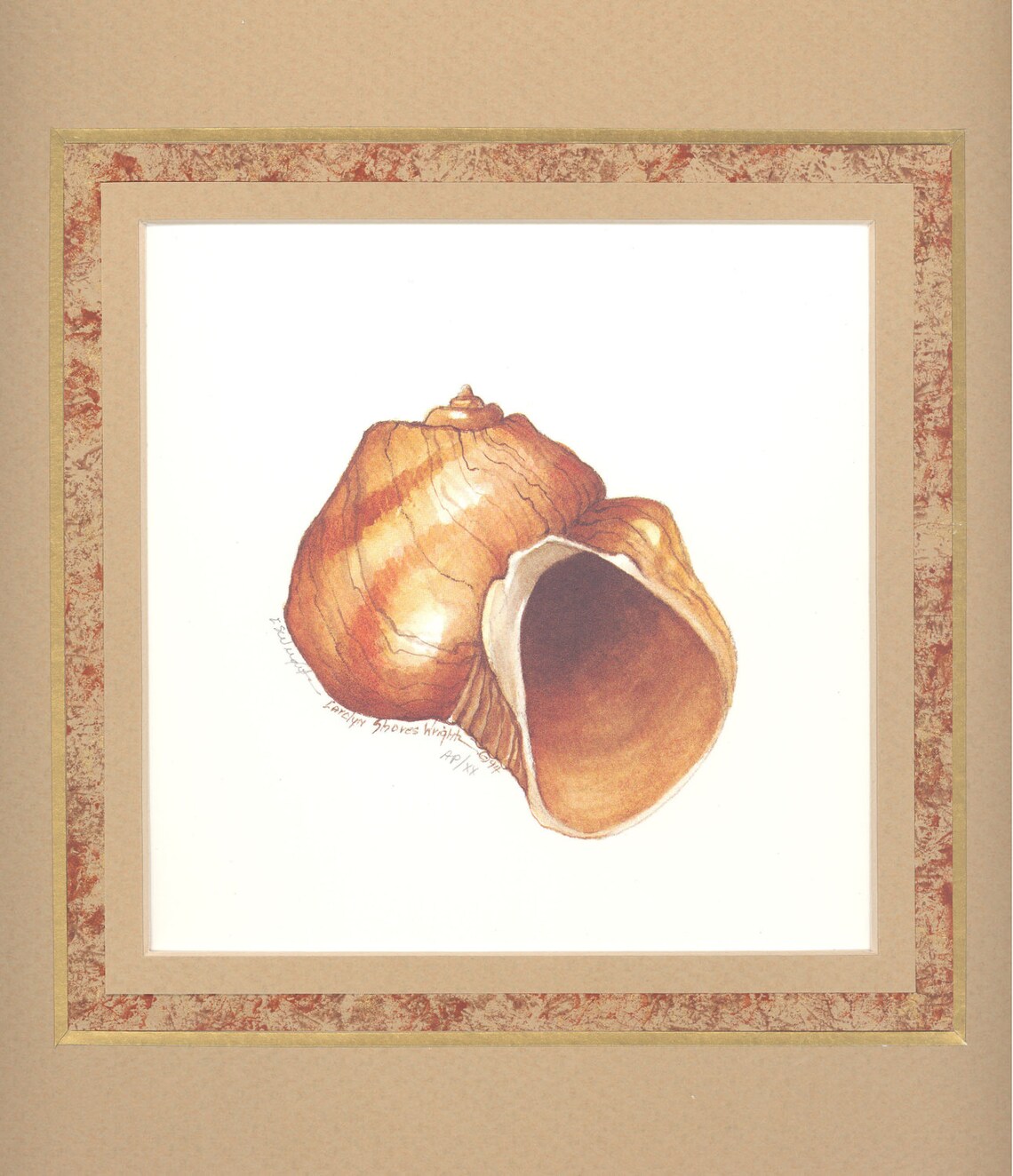 Moon Shell 10 X 10 Custom Matted Lithograph - Etsy