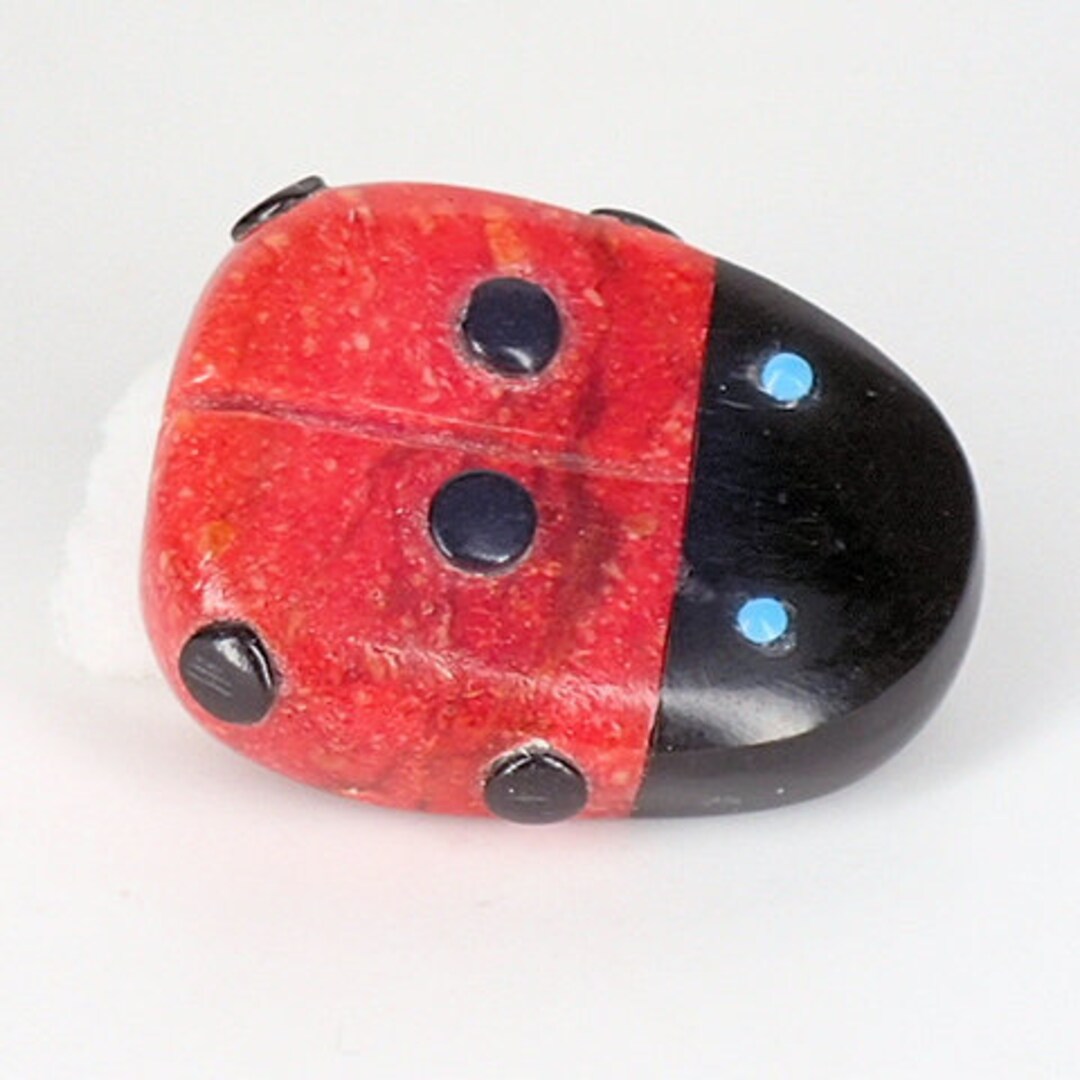 Zuni Fetish Ladybug: Coral, Jet, Turquoise, Native American Carving - Etsy
