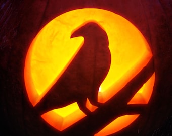 crow on a pumpkin