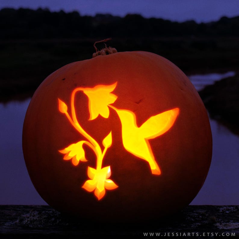 Hummingbird Pumpkin Carving Stencil | Halloween Jack-o-lantern Template ...