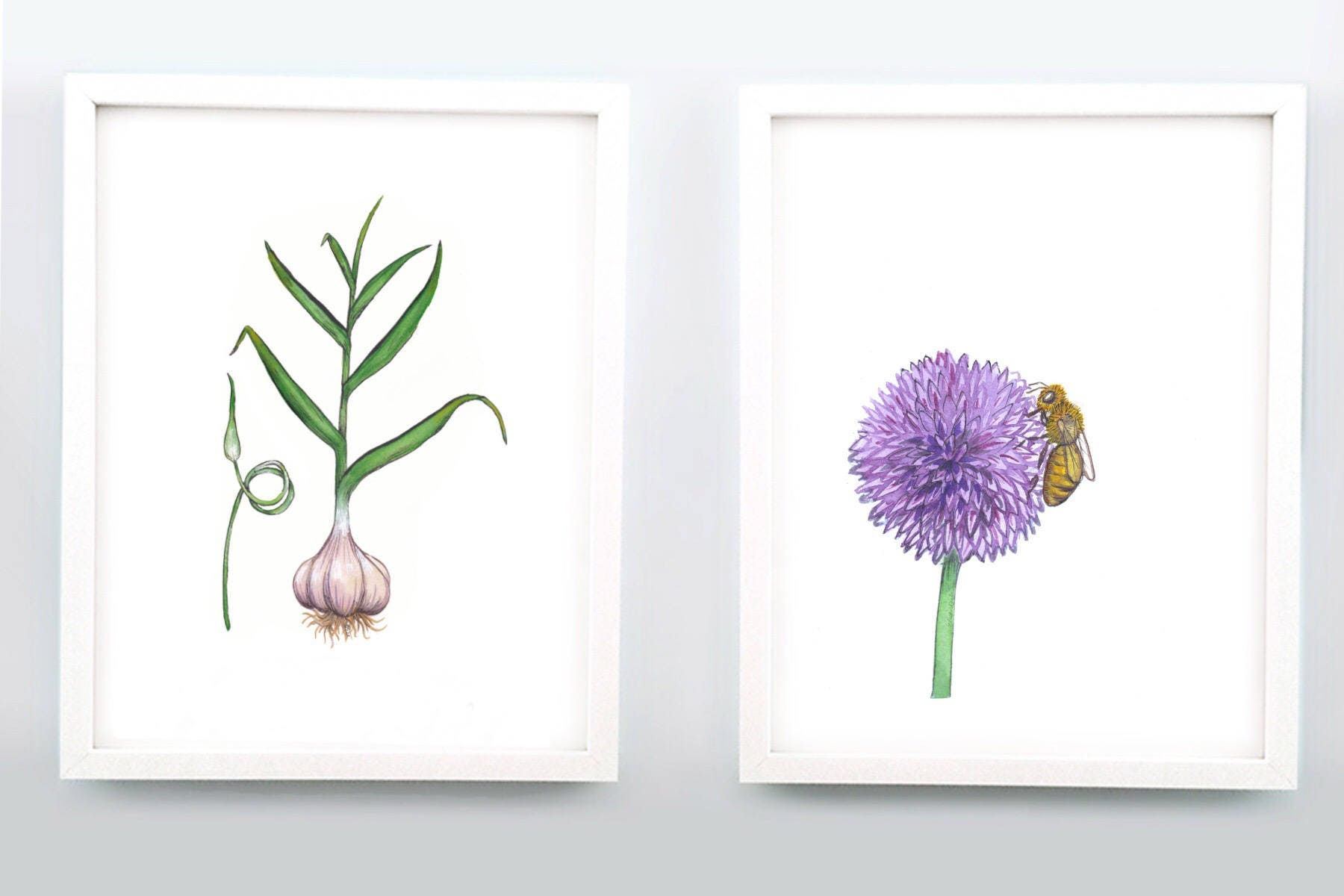 Garlic and Bee's Chive Printable Watercolor Art - Etsy