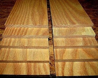 Kentucky Coffee Tree - Etsy