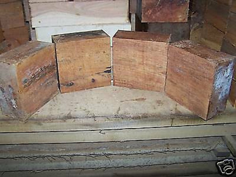 4 Beautiful KILN Dried MAPLE 5" X 5" X 3" - Etsy