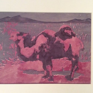 CAMEL WATERCOLOR PRINT Gum Bichromate Photo Mounted Matted Pinks ...