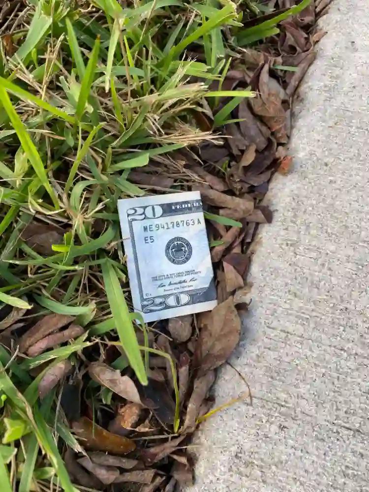 Money Drop Cards, Dollar Bill Business Cards, Dollar Bill Drop Cards ...