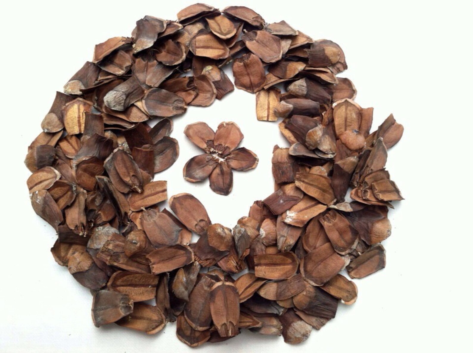 200 Pine Cone Petals - Etsy