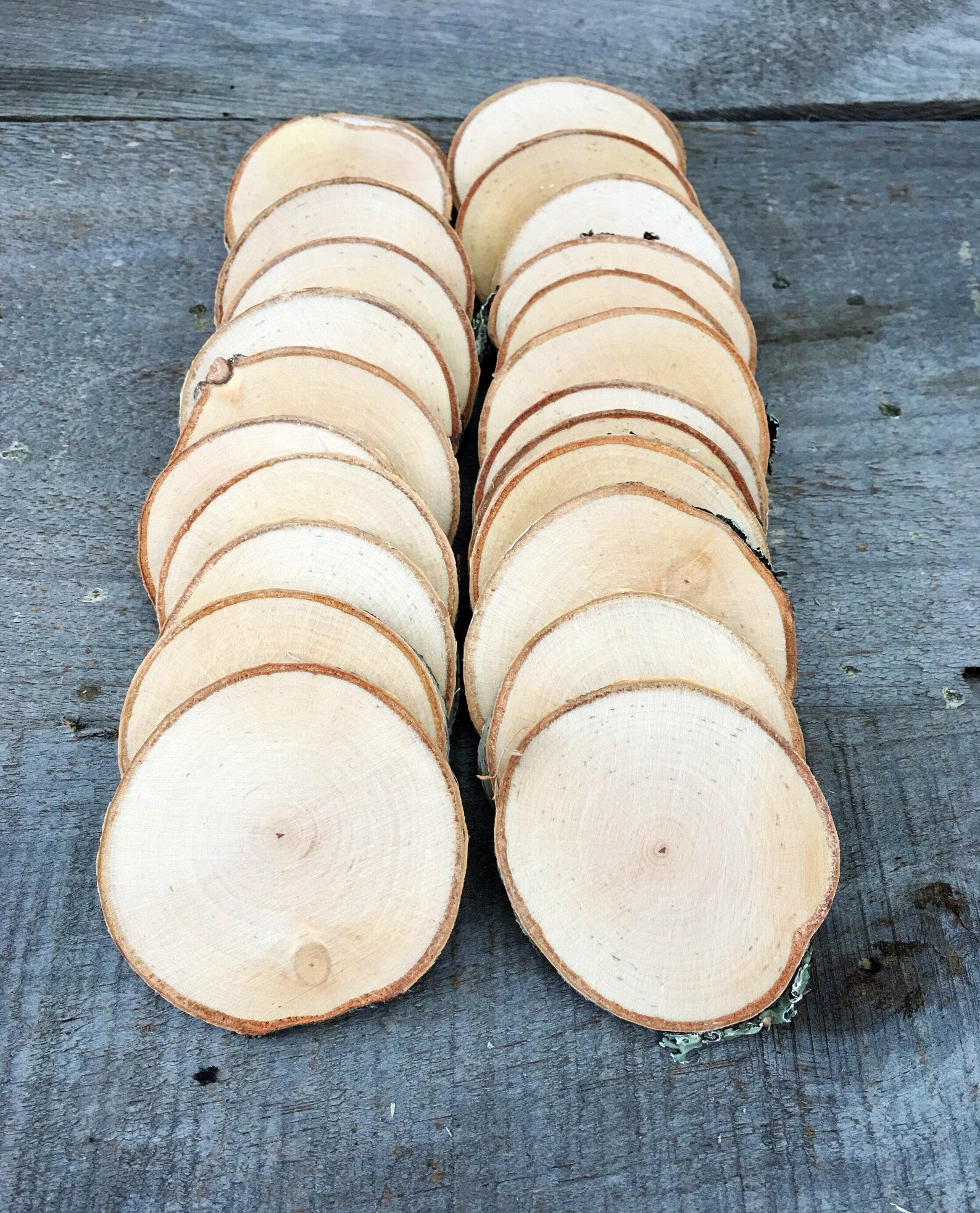25 Birch Wood Slices 2 2 3/8 - Etsy