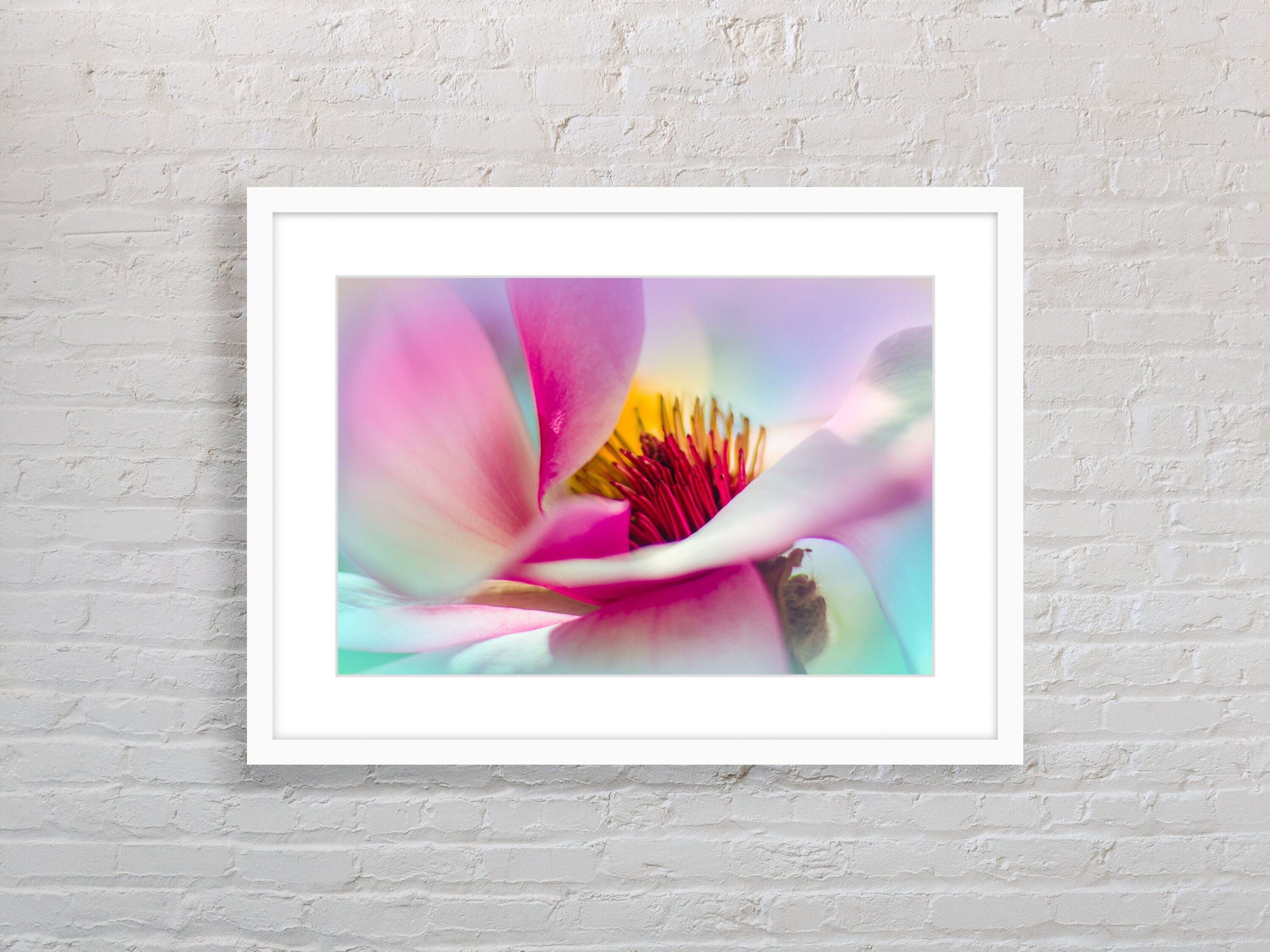 Magnolia Flower Photograph, Printable Download Colourful Flower Wall ...