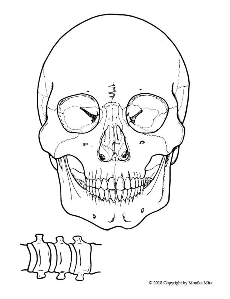 Life Size Printable Halloween Skeleton Halloween Game Halloween Party ...