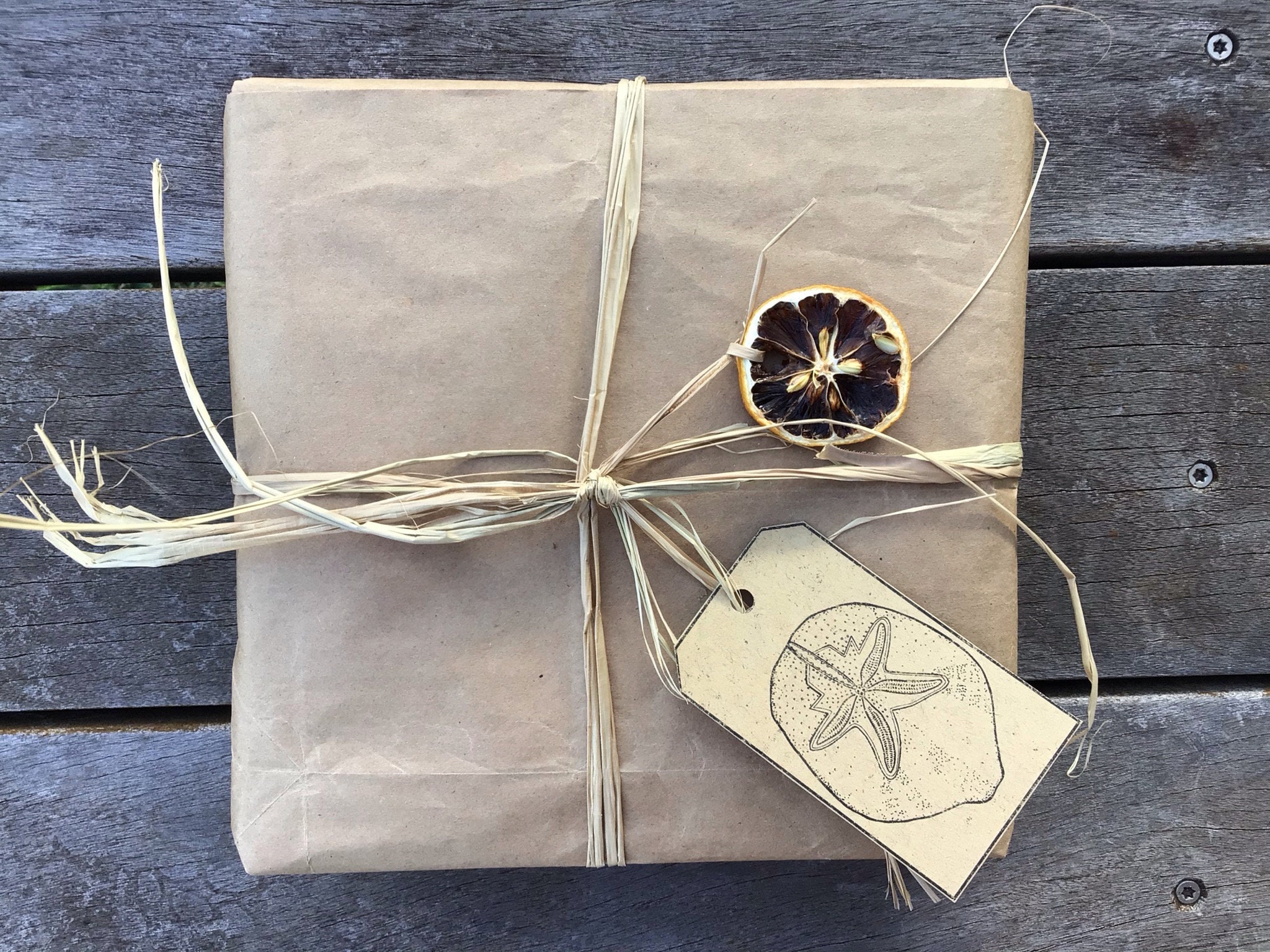 Printable Vintage Seashell Gift Tags Vintage Sea Urchin Gift - Etsy