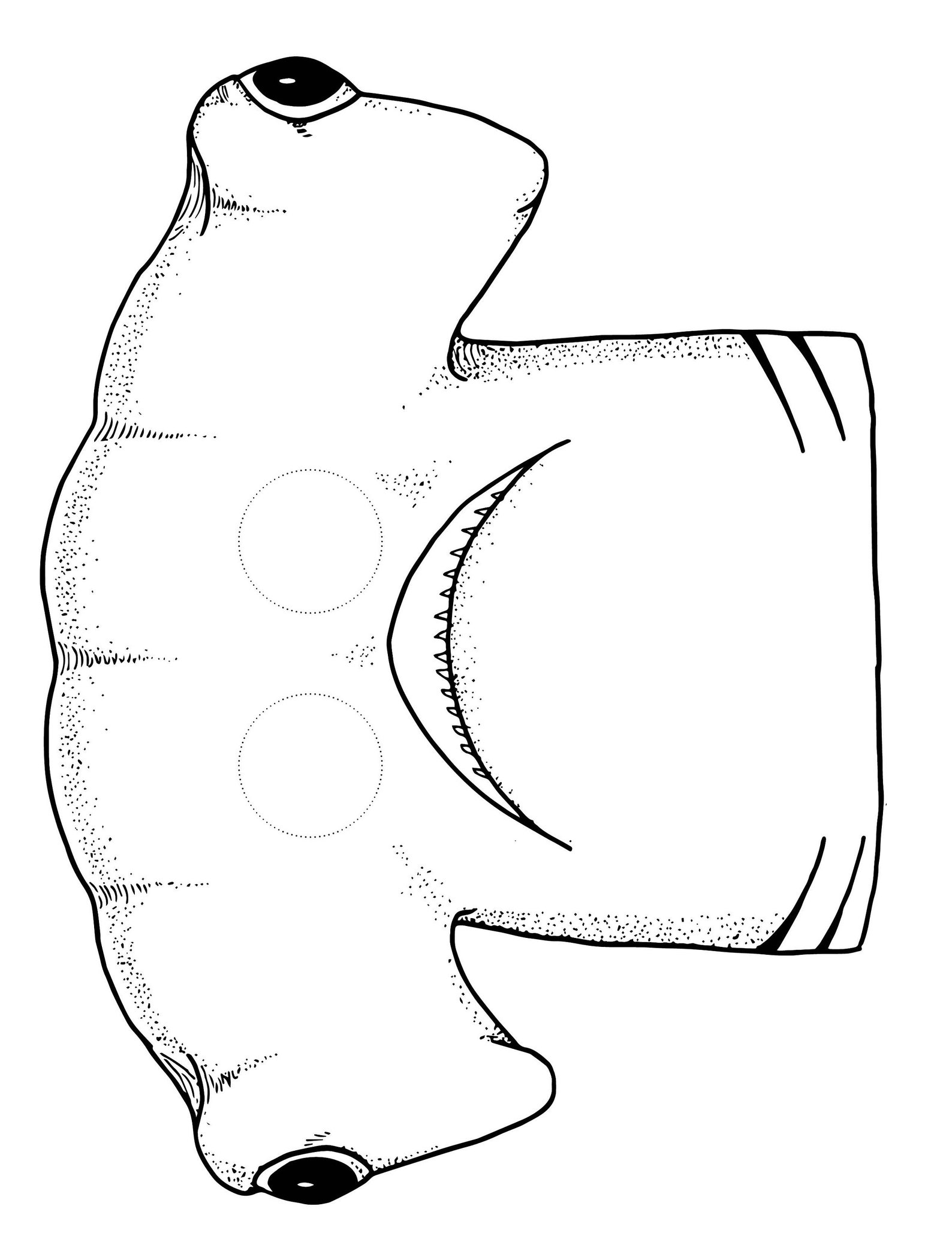 Printable Shark Masks | Halloween Masks | Colorable Masks | Shark Party ...