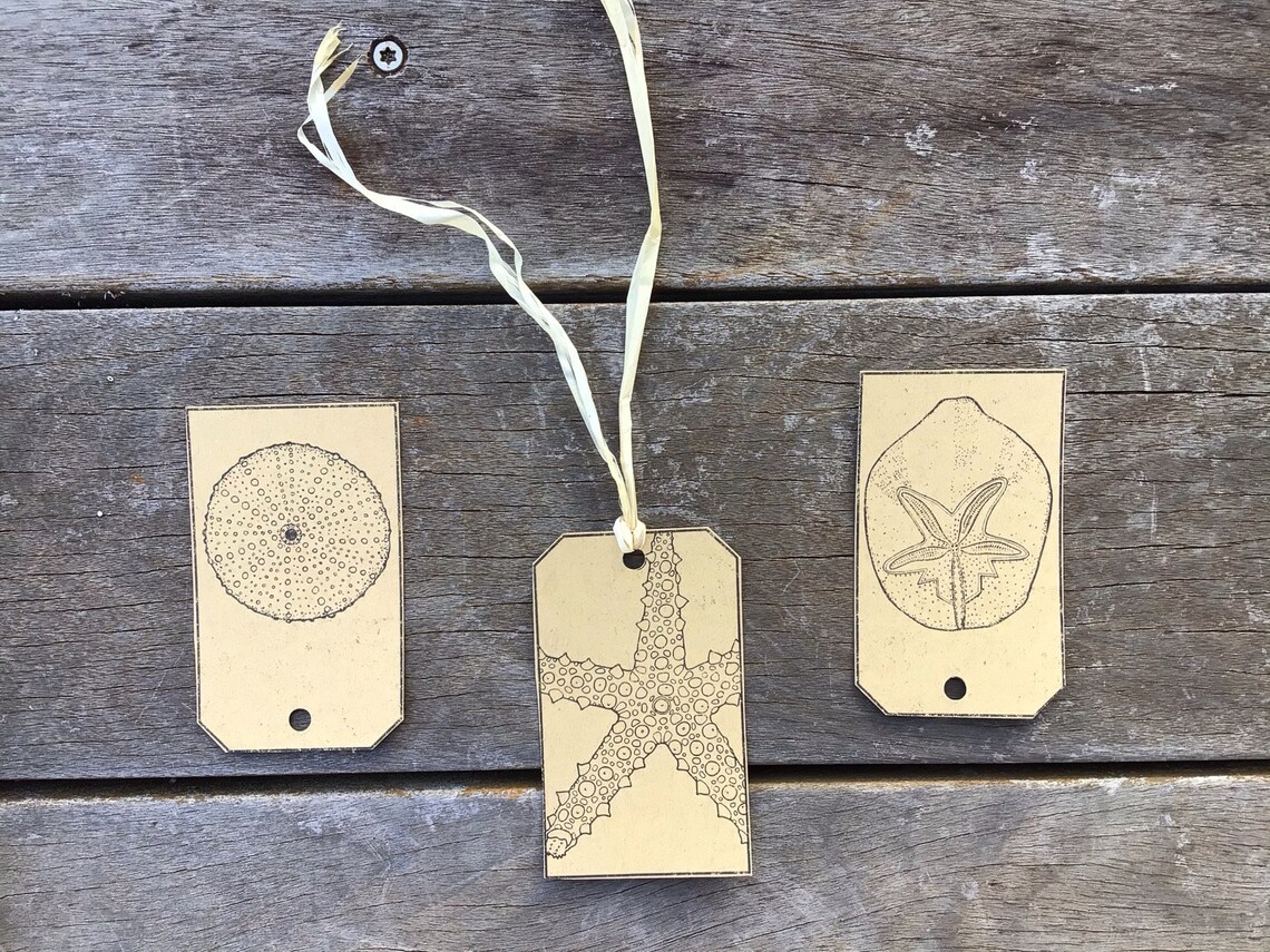 Printable Vintage Seashell Gift Tags | Vintage Sea Urchin Gift Tags ...