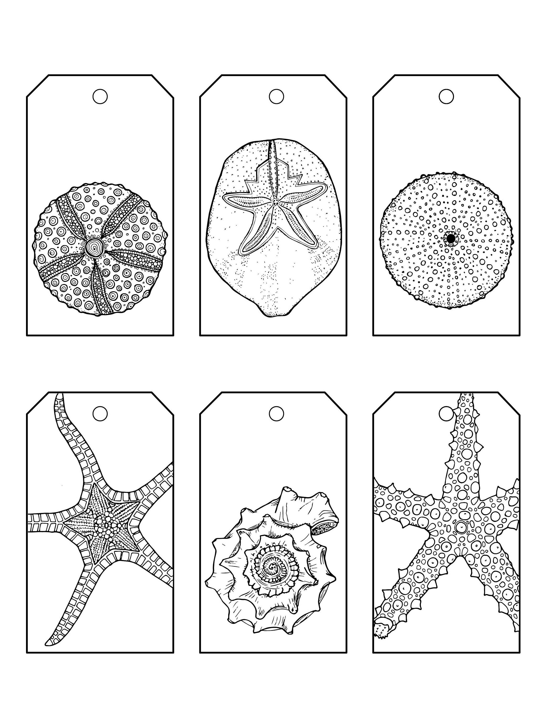 Printable Vintage Seashell Gift Tags | Vintage Sea Urchin Gift Tags ...