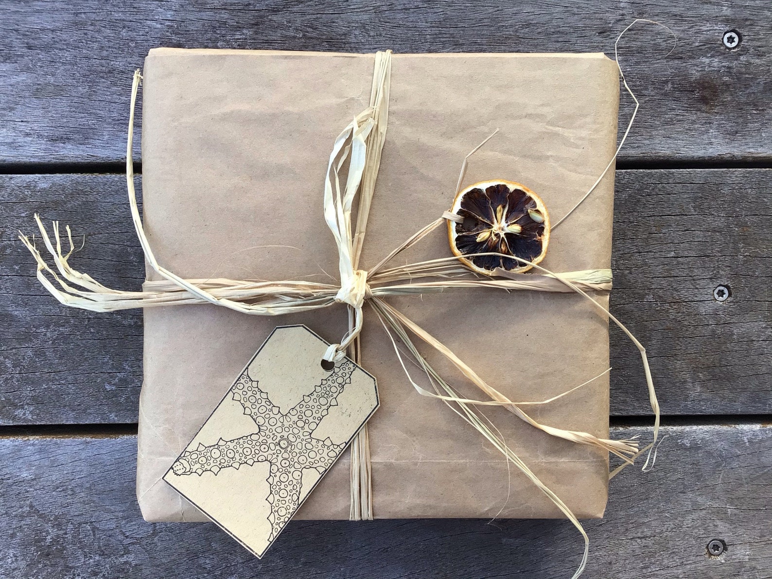 Printable Vintage Seashell Gift Tags Vintage Sea Urchin Gift - Etsy