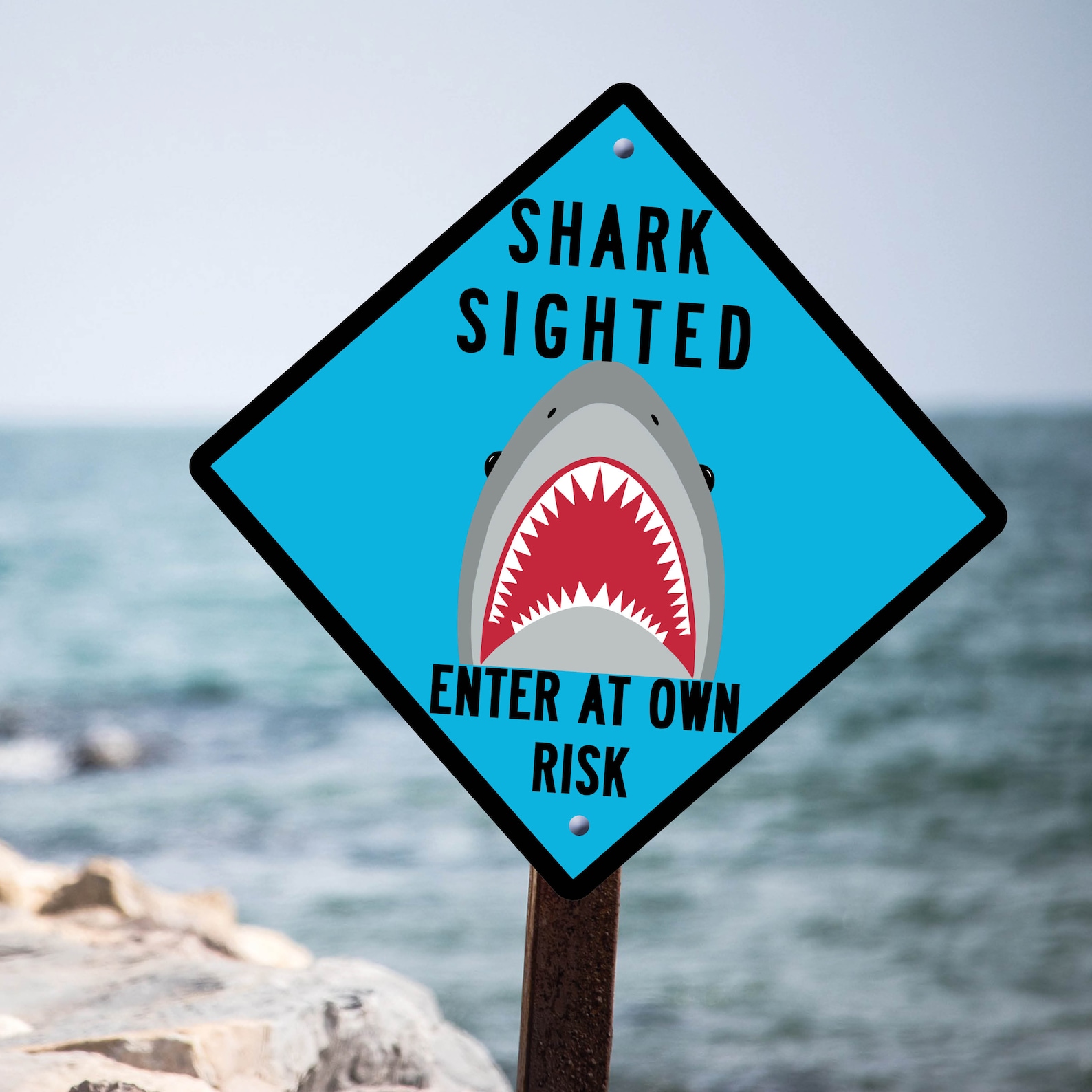 Printable Shark Party Signs | Shark Sighted Signs | Set of Shark Signs ...