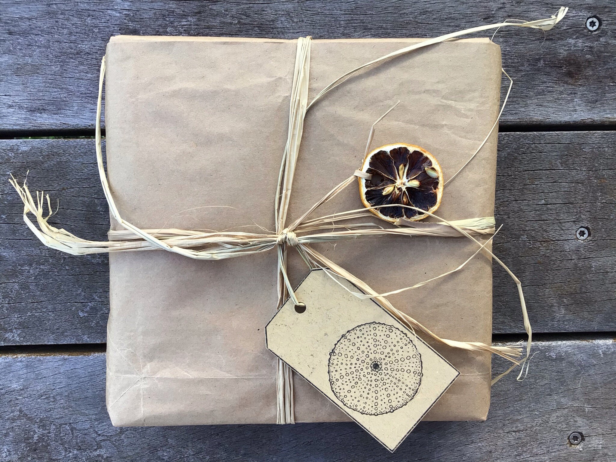 Printable Vintage Seashell Gift Tags | Vintage Sea Urchin Gift Tags ...