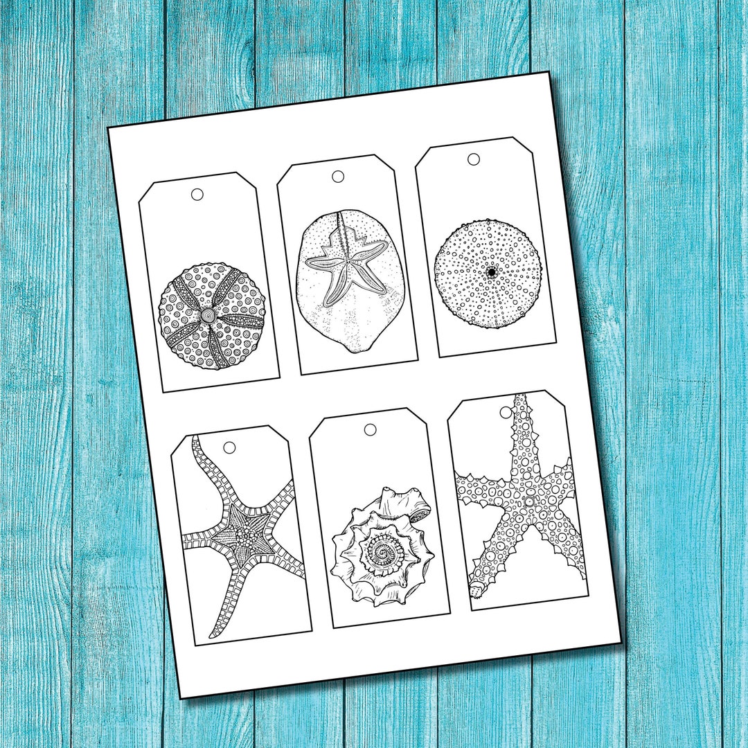 Printable Vintage Seashell Gift Tags | Vintage Sea Urchin Gift Tags ...