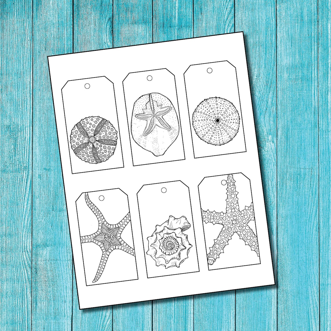 Printable Vintage Seashell Gift Tags Vintage Sea Urchin Gift - Etsy
