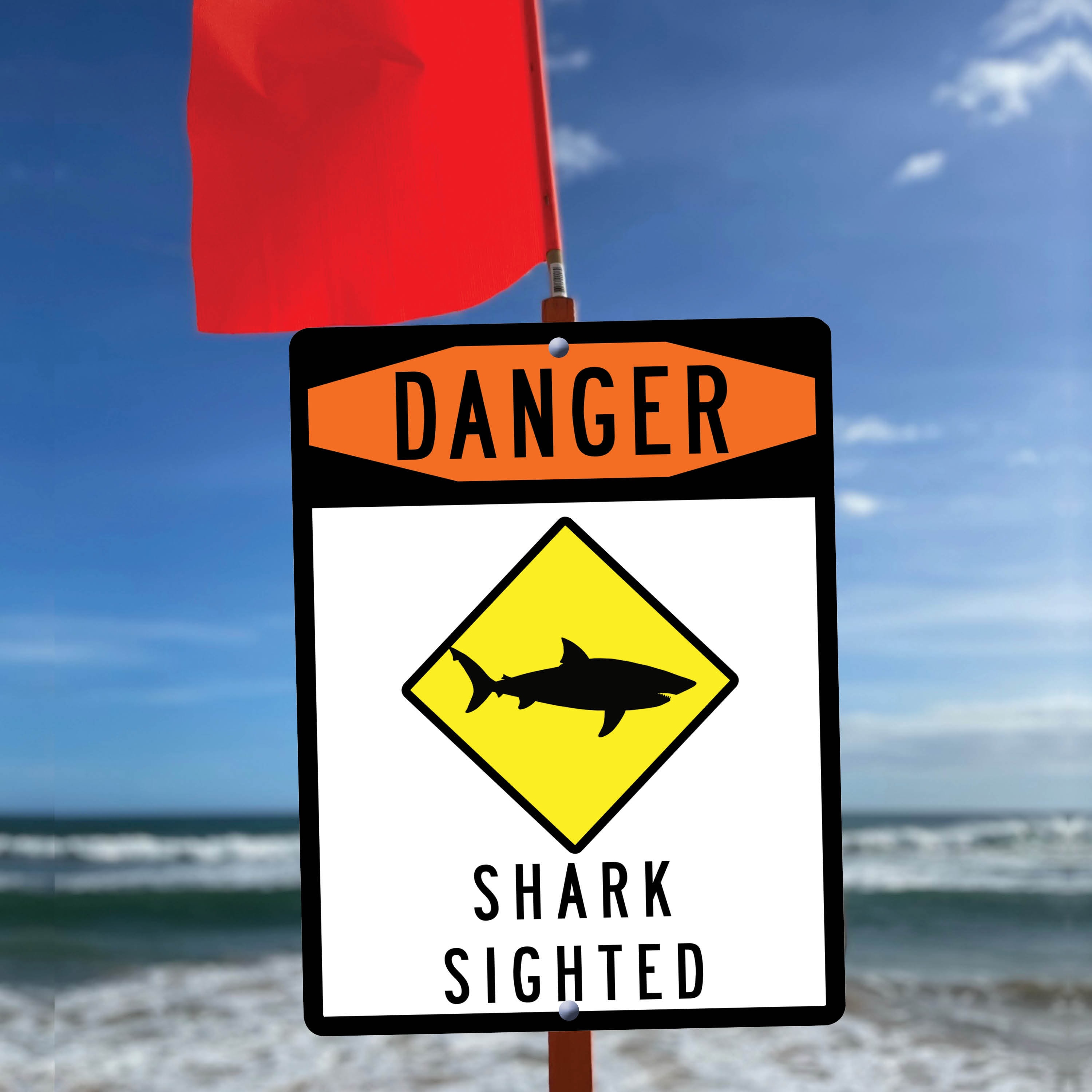 Printable Shark Party Signs | Shark Sighted Signs | Set of Shark Signs ...