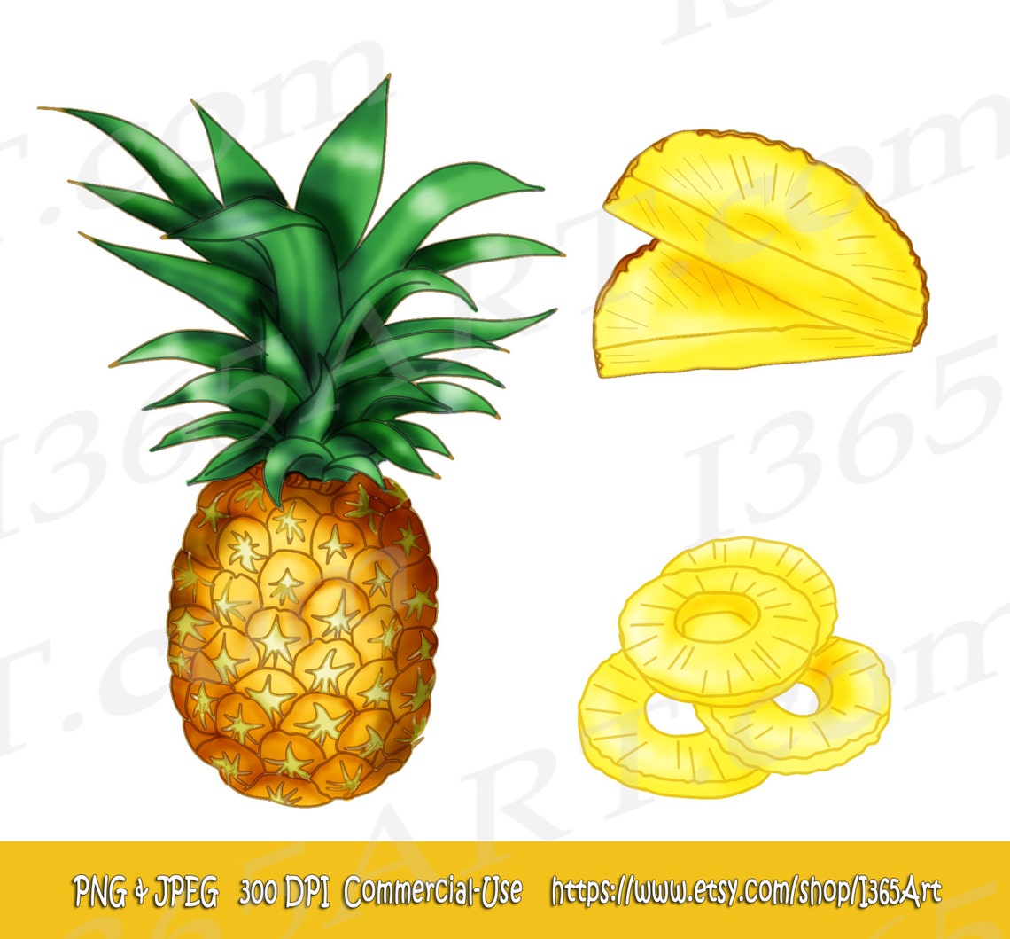 Buy 3 Get 1 Free Pineapple Fruit Clipart Pineapple Clip Art | Etsy