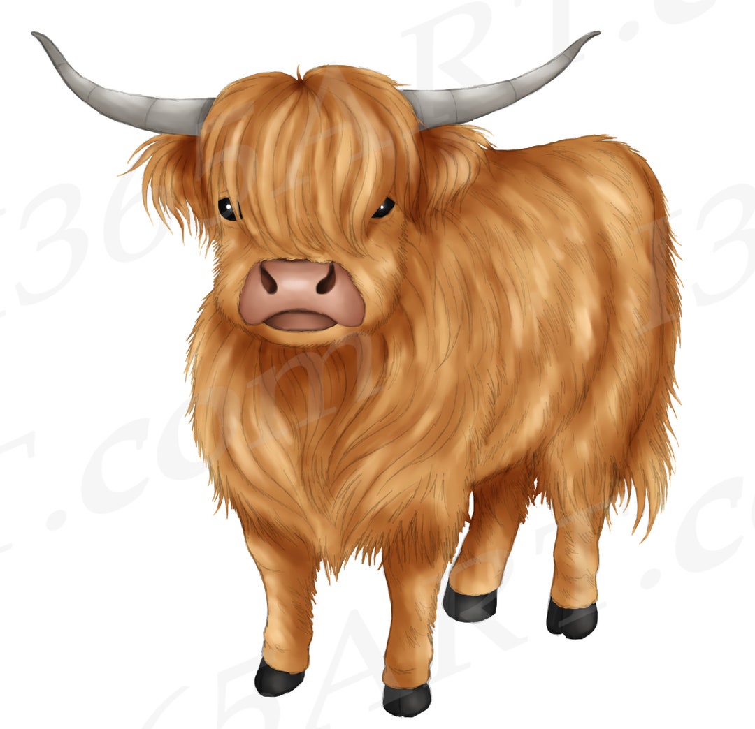 Watercolor Highland Cow Clipart, Cute Farm Animal PNG (digital Download ...