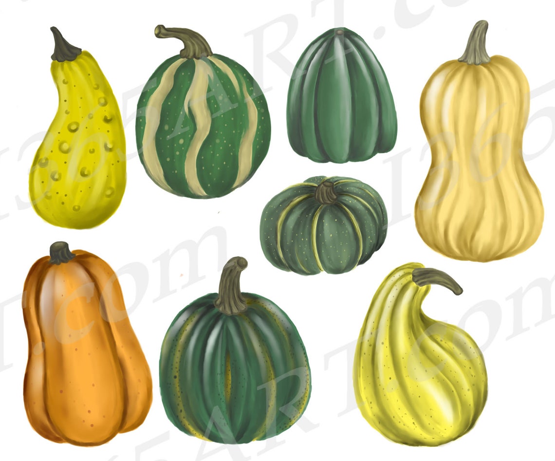 Autumn Harvest Clipart Pumpkin Clipart Squash Clipart - Etsy