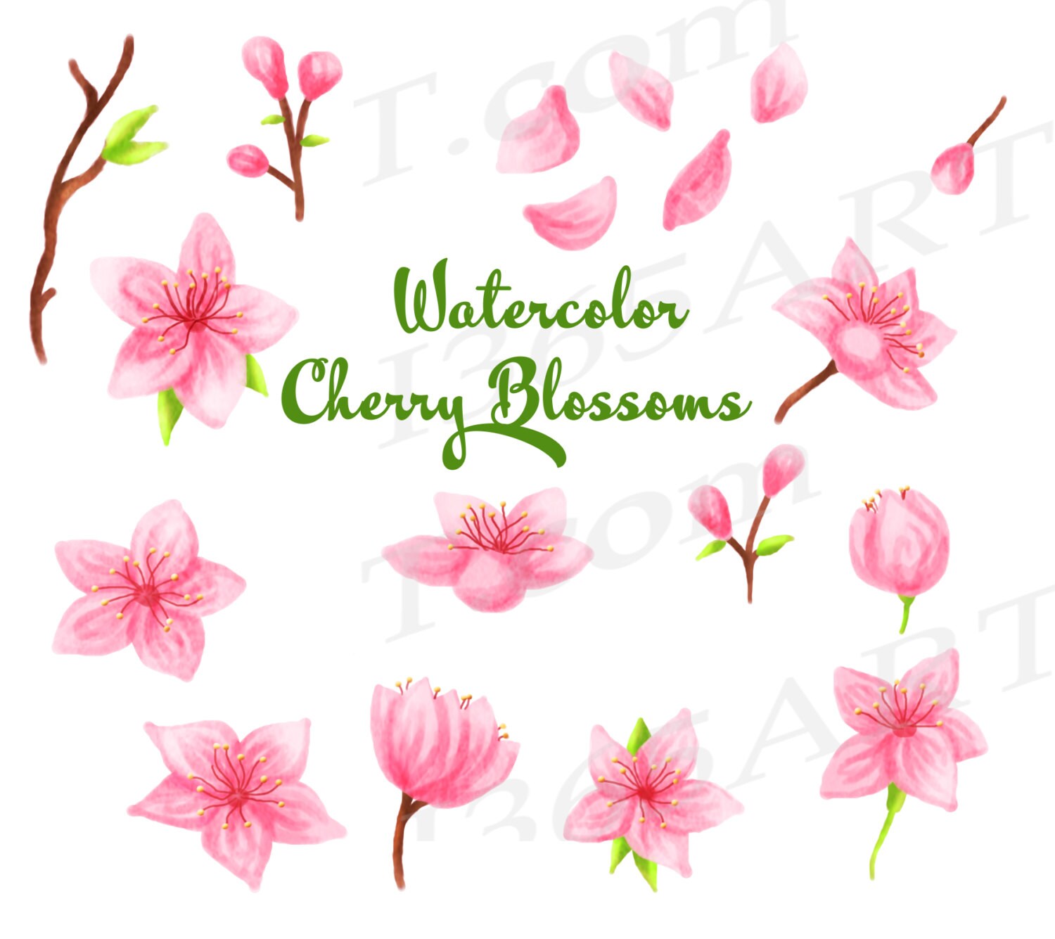 Sakura Clipart Watercolor Sakura Clip Art Cherry Blossoms | Etsy