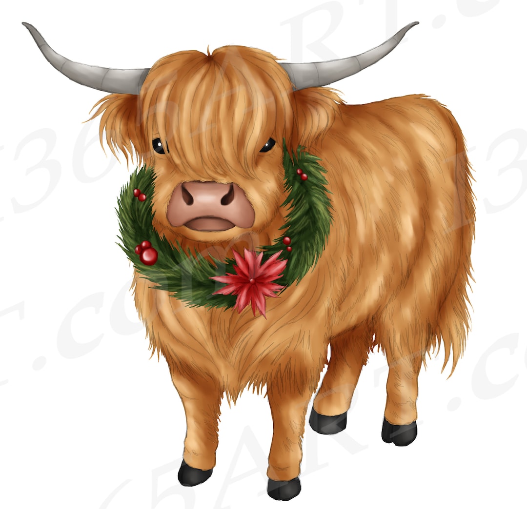 Christmas Highland Cow Clipart, Highland Cow, Christmas Cow PNG ...
