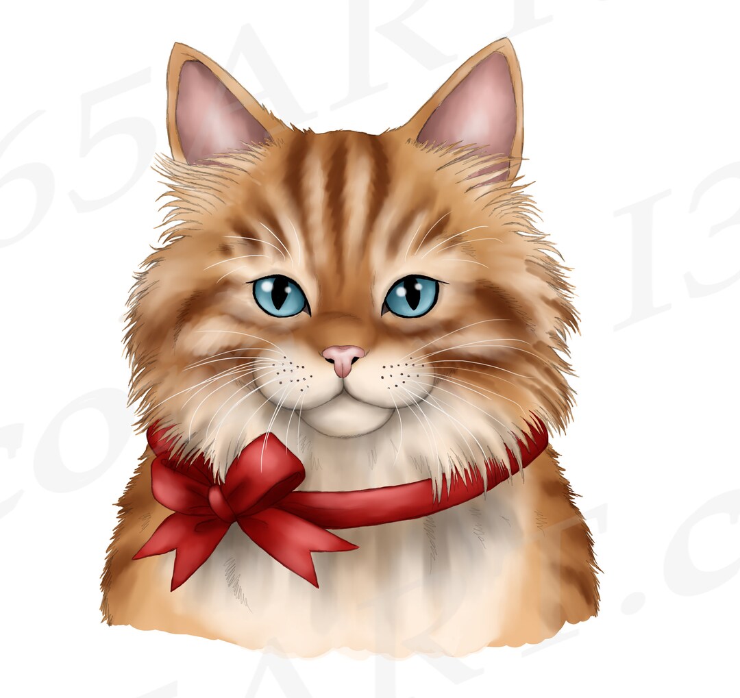 Christmas Cat Clipart, Watercolor Cat PNG, Kitten PNG, Holiday Clipart ...