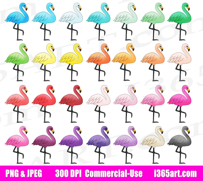 Flamingo Clipart Rainbow Flamingo Clip Art Flamingo - Etsy