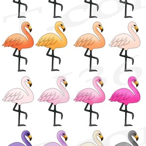 Flamingo Clipart, Rainbow Flamingo, Clip Art, Flamingo Clipart ...