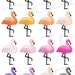Flamingo Clipart, Rainbow Flamingo, Clip Art, Flamingo Clipart ...