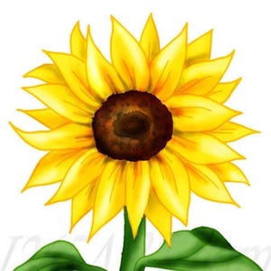Beautiful Sunflower Clipart, Sunflower Clip Art, Flower Clipart ...