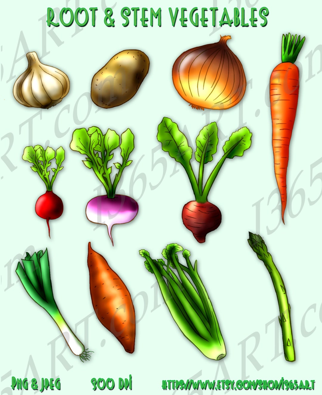 Root and Stem Vegetables Clipart, Scrapbooking, Digital Graphics ...