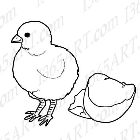 Baby Chick Clipart Black And White