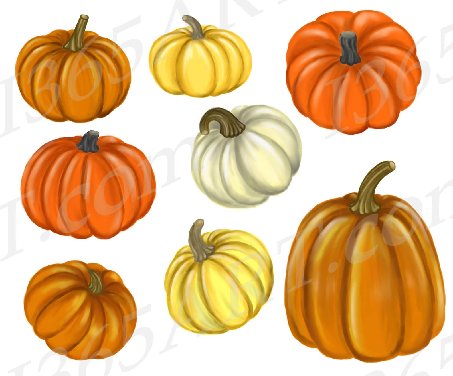 Autumn Harvest Clipart Pumpkin Clipart Squash Clipart - Etsy