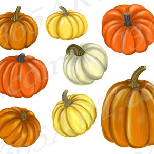 Autumn Harvest Clipart, Pumpkin Clipart, Squash Clipart, Halloween ...