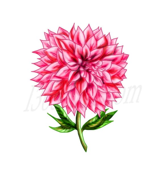 Beautiful Pink Dahlia Flower Clip Art Scrapbooking Party | Etsy